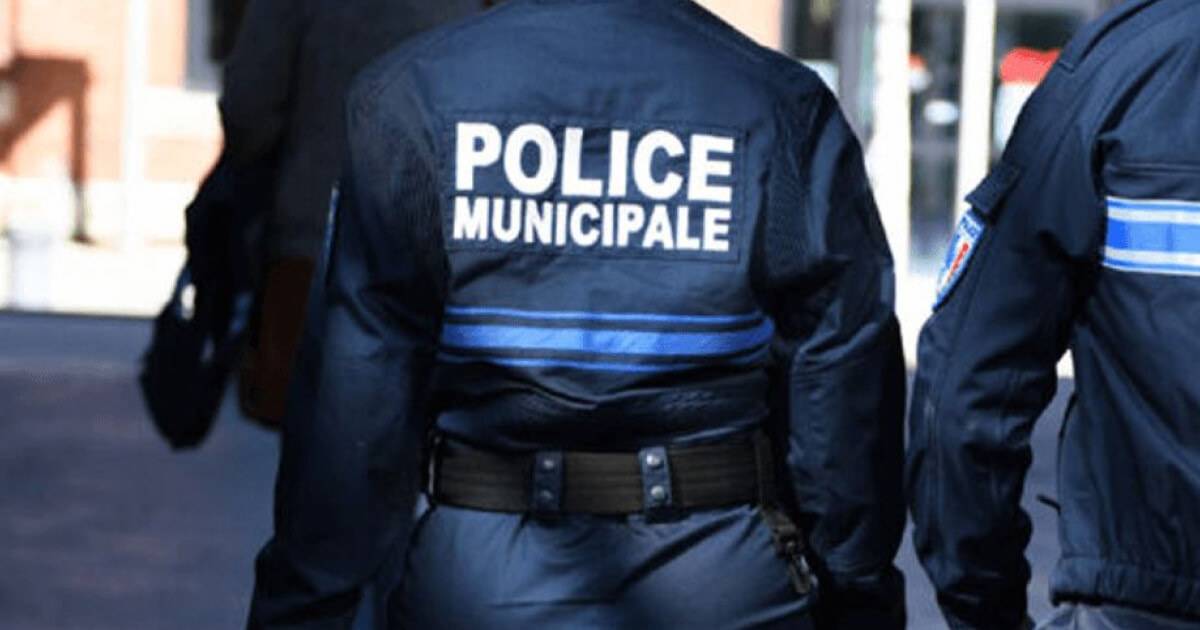 Bas tenues professionnelles pour Administration - AMG Pro